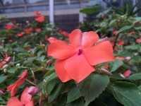 【三星GALAXY Note I9220】报价_参数_图片_论坛_Samsung GALAXY Note（I9220）三星手机报价-ZOL中关村在线